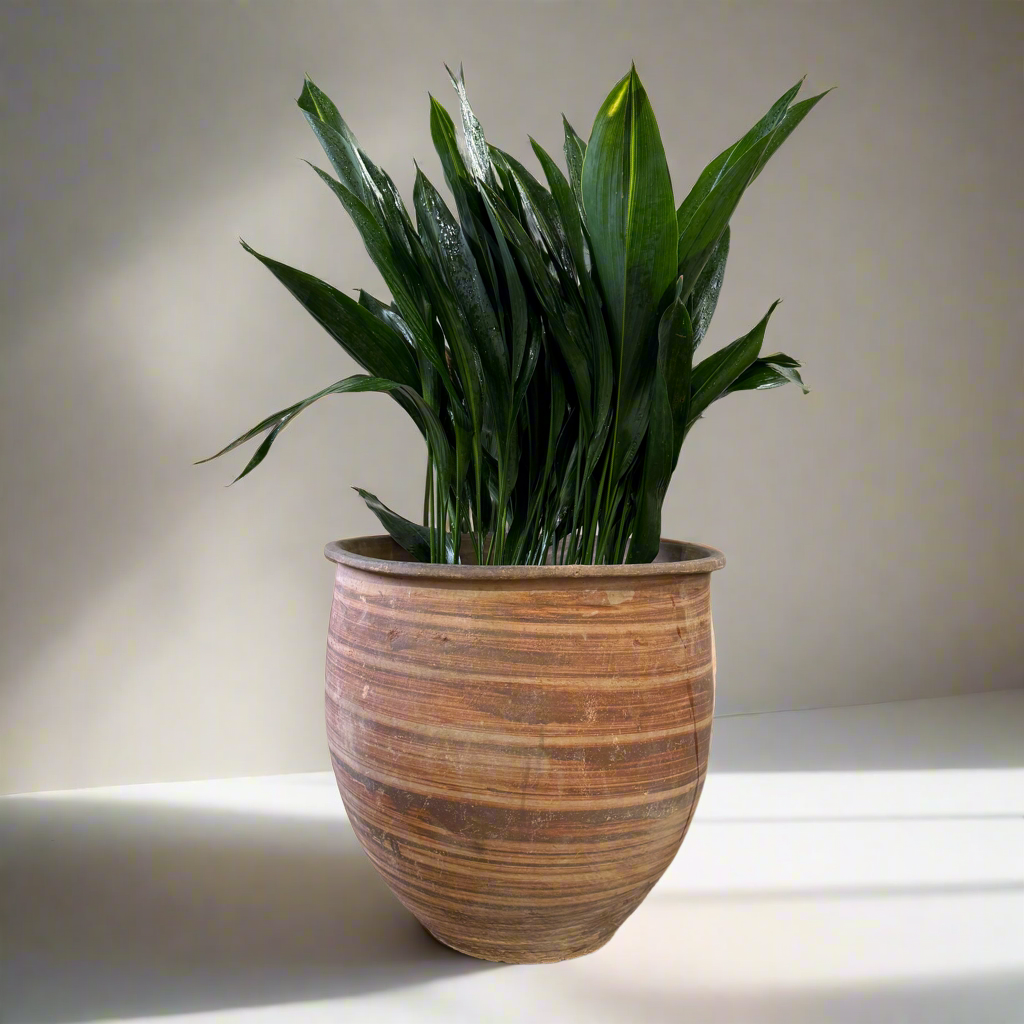 X Large Terracotta Grain Open Mouth Pots – Water Tiger